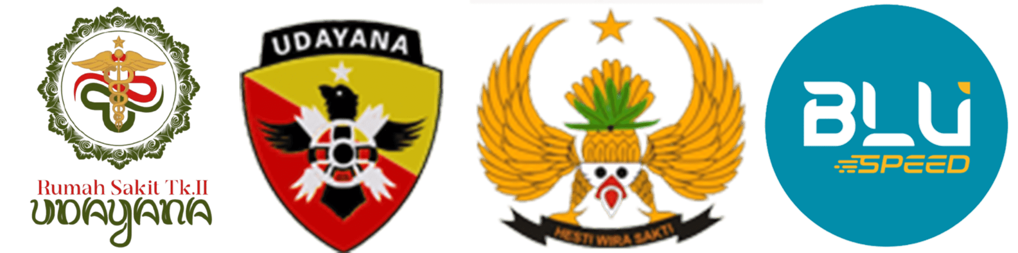 RSAD Denpasar – Rumah Sakit Udayana Denpasar